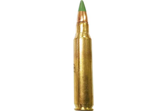 Armscor Ammo 5.56-.223 Case Lt - 1000rd 62gr Fmj (m855-ss109