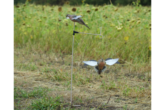 Avian X Spinning Wing Dove - Decoy for Sale