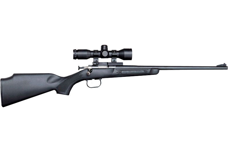 Crickett Rifle G2 .22lr Blued/ - Black Synth W/scope And Cas