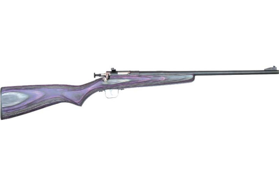 Crickett Rifle G2 .22lr - Blued-purple Laminate for Sale