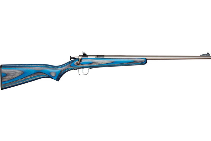 Crickett Rifle G2 .22lr - S-s Blue Laminate for Sale