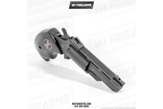 NAA Black Widow Mini Revolver, 2" Barrel with Conversion Cyl